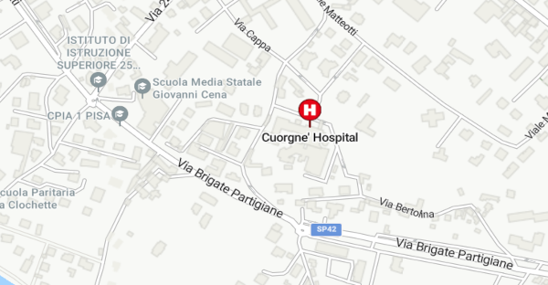 Organizzazione | ASLTO4